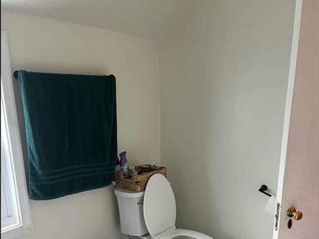 Female roommate needed 24/30 y/o