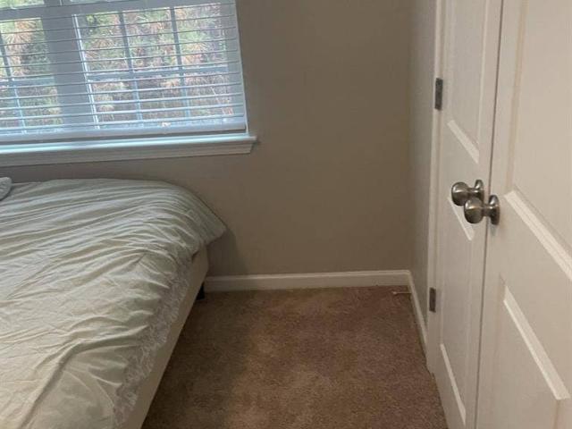 Female roommate needed