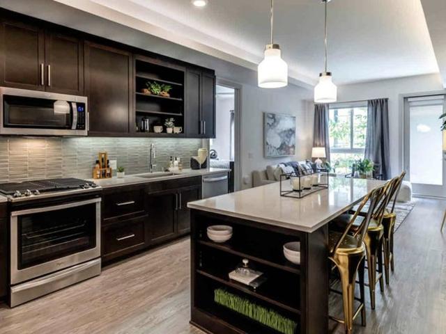 Female Roommate Wanted Luxury 2B2B Apartment