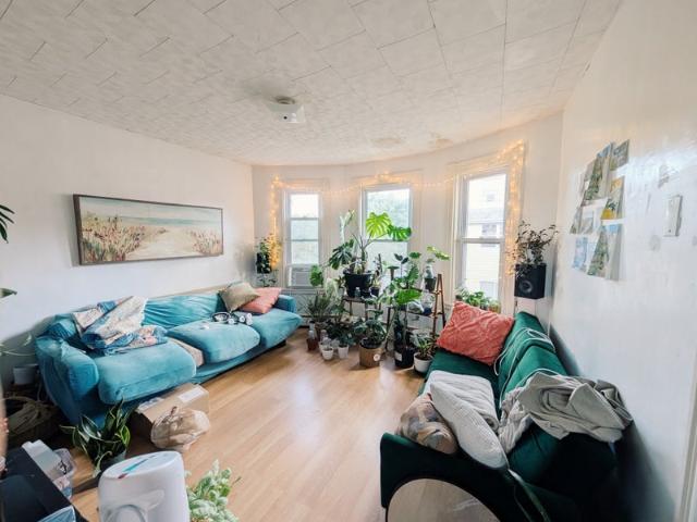 Female Roommate Wanted –Lower Allston 11/1 Move In