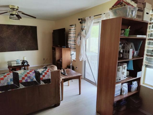 Female Roommate Wanted