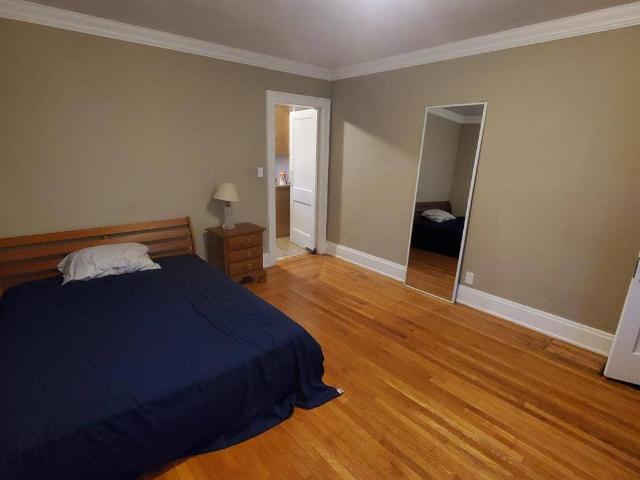 Female roommate wanted