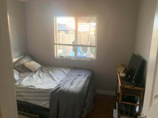 Female Roommate Wanted
