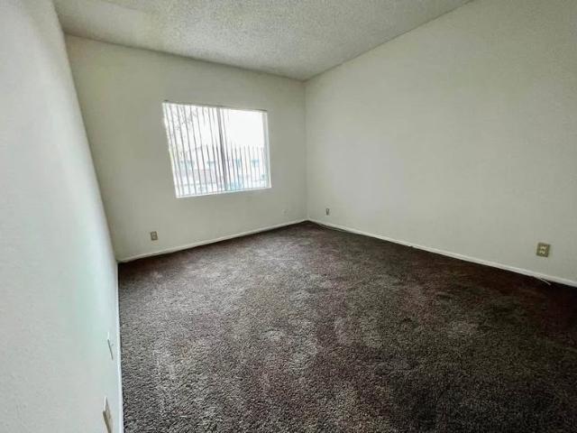 Female roommate wanted