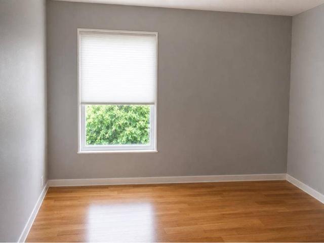 Female Roommate wanted