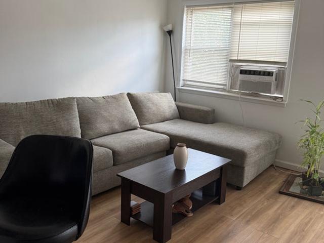 Female roommate wanted