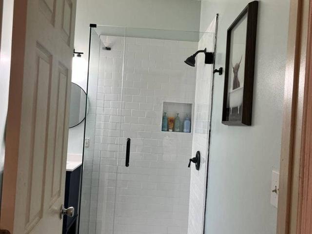 Female roommate wanted