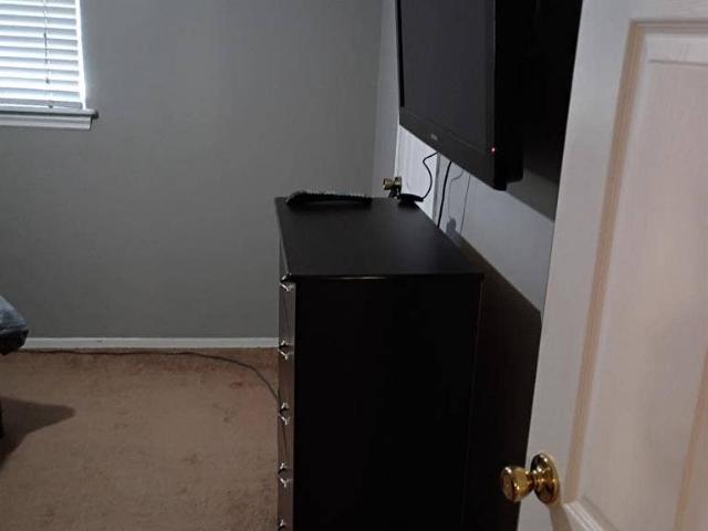 Female roommate wanted