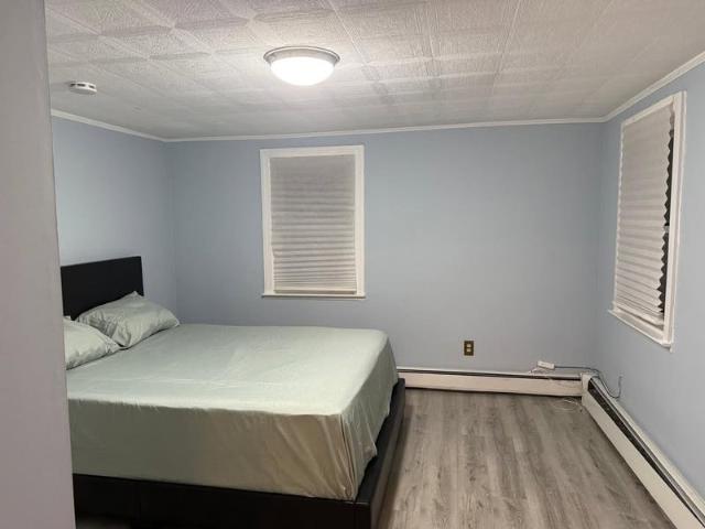 Female Roommate Wanted