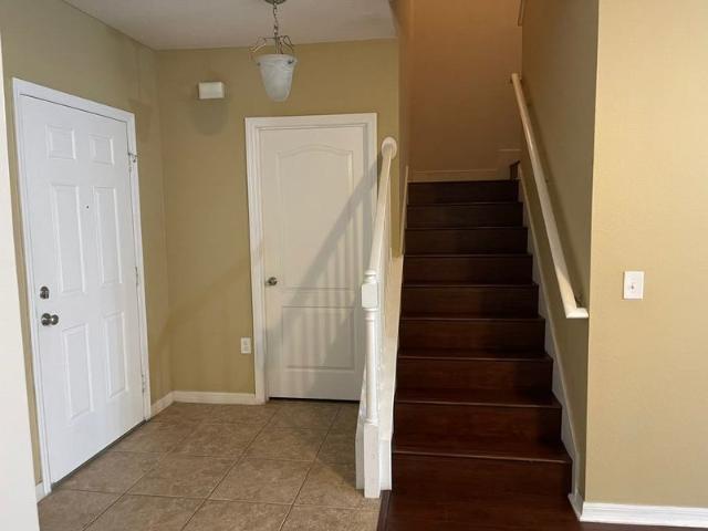 Female Roommate Wanted