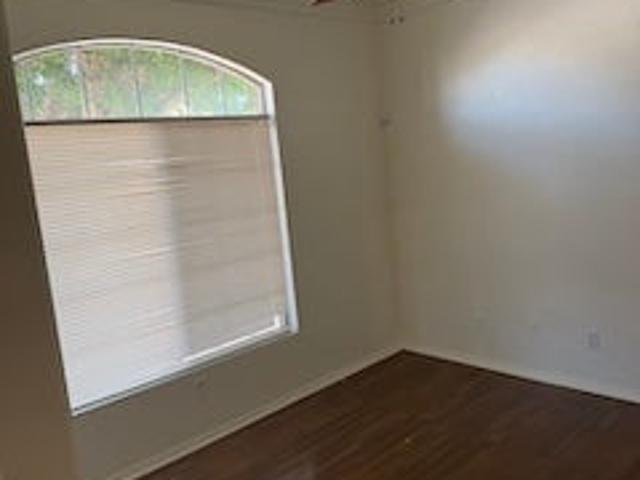 Female Roommates Needed