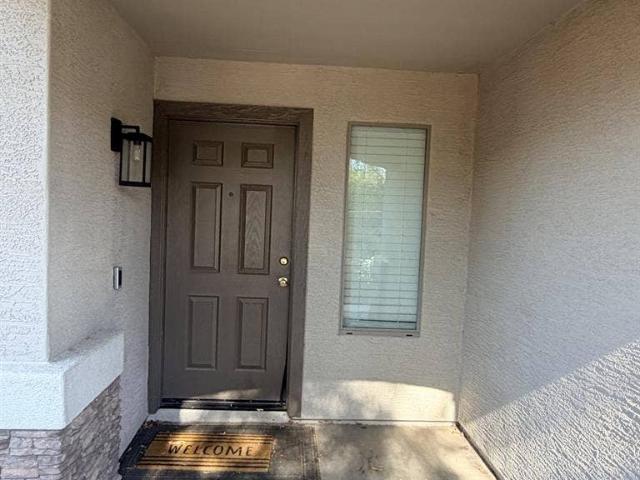 Female Roomate Wanted