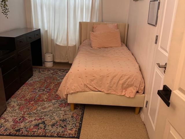 Female Roomate Only No pets