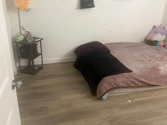Female roomie wanted