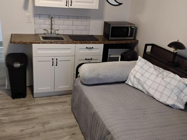 Female renter wanted