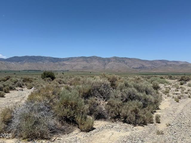 Fenceline Rd, Gardnerville, NV 89410