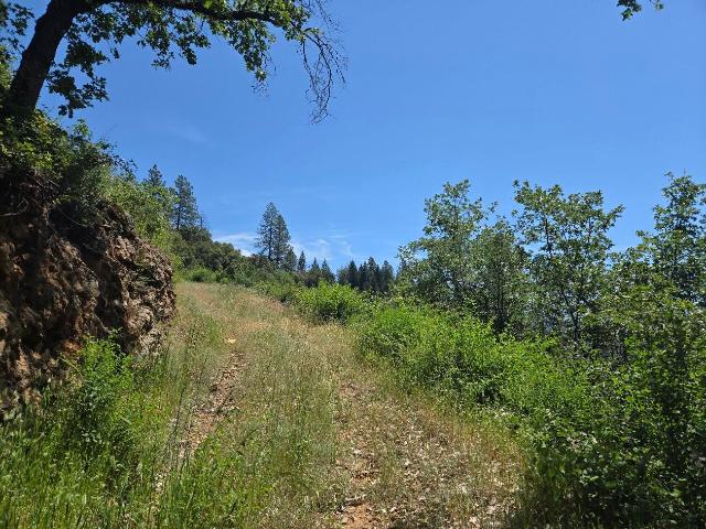 Fenders Ferry Road