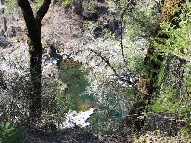 Fenders Ferry Road