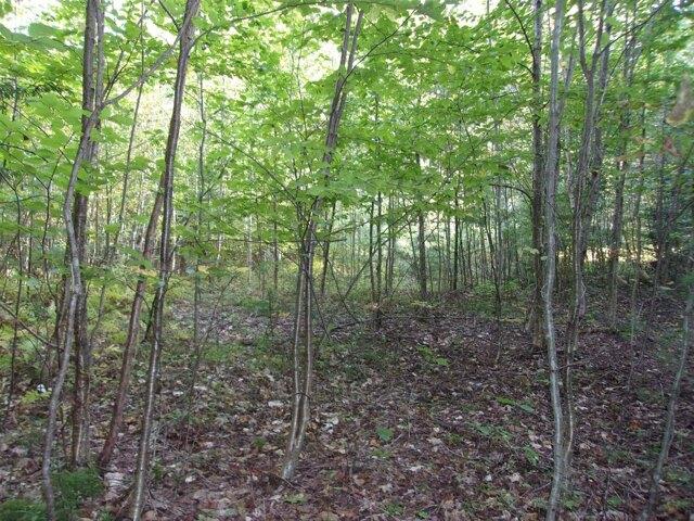Fenn Way Cir Lot,bath, Plot For Sale