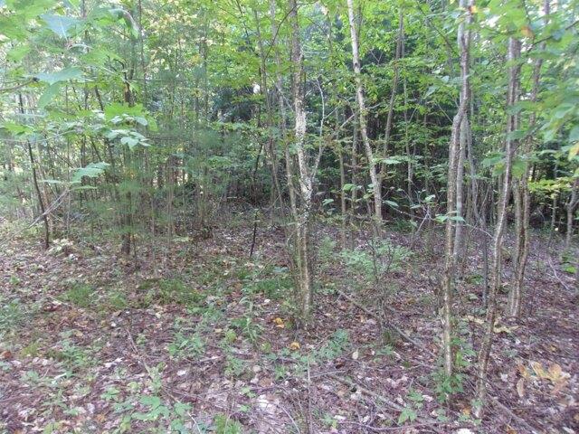 Fenn Way Cir Lot,bath, Plot For Sale