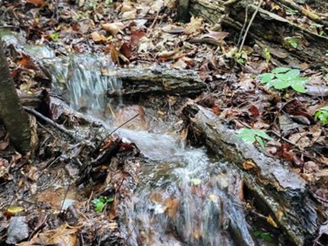 Feather Bed Ln Lot 12, Hedgesville, WV 25427