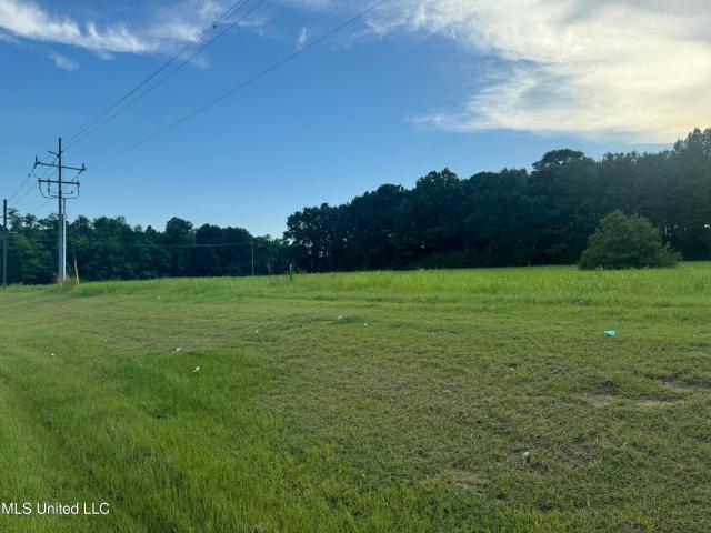 Feather Lane, Canton, MS 39046