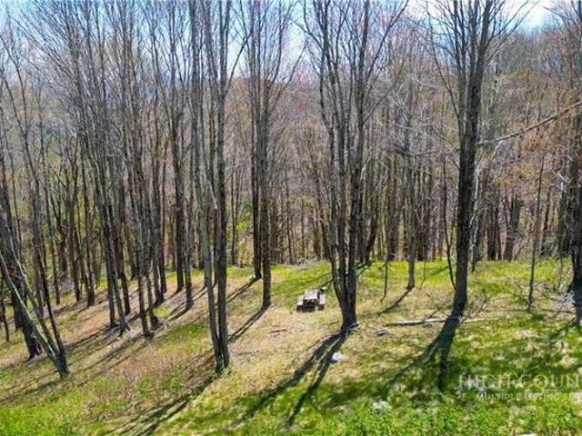 Featherwood Trl Lot 86, Banner Elk, NC 28604