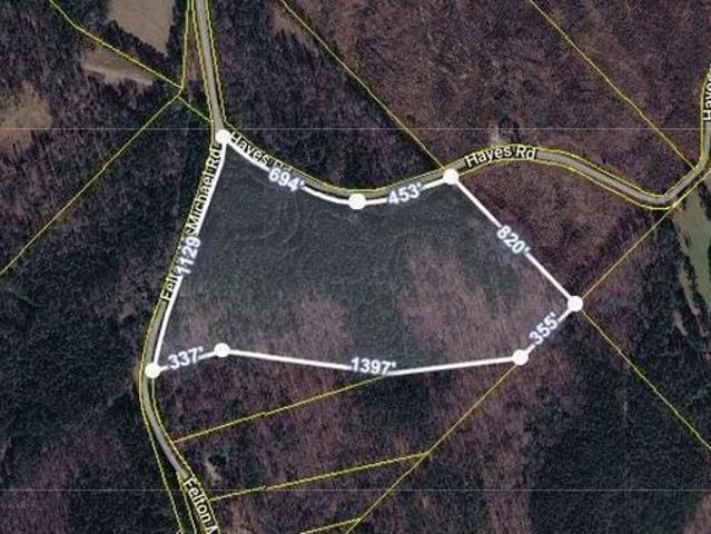 Felton McMichael Rd and Hayes Landlot 090 Rd, Monticello, GA 31064
