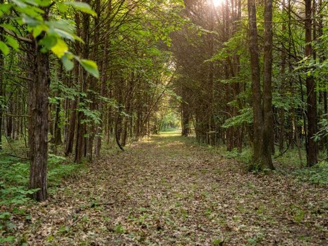 Fellowship Rd, Mount Juliet, TN 37122