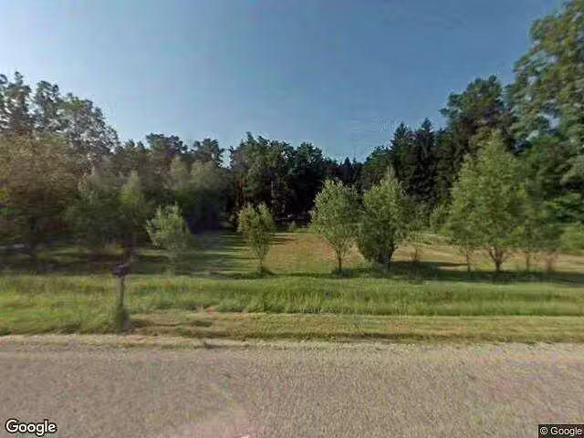 Fergus, CHESANING, MI 48616 649218631