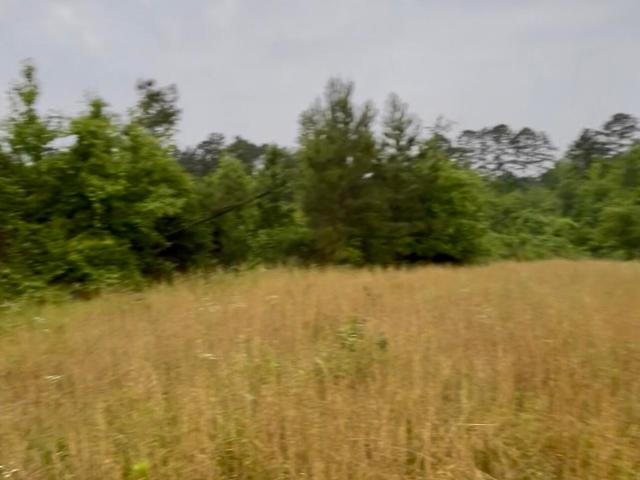 Ferguson Mill Road, Silver Creek, MS 39663