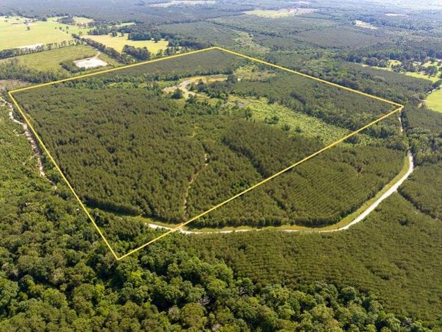 Ferguson Rd, Coushatta, LA 71019