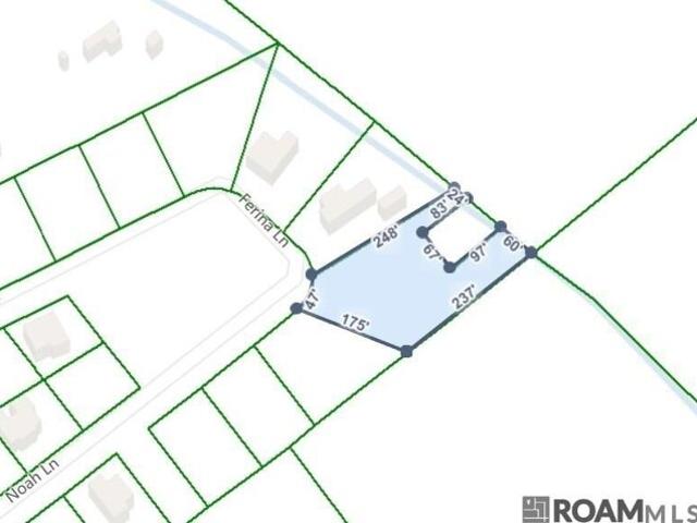 Ferina Ln, Albany, Plot For Sale