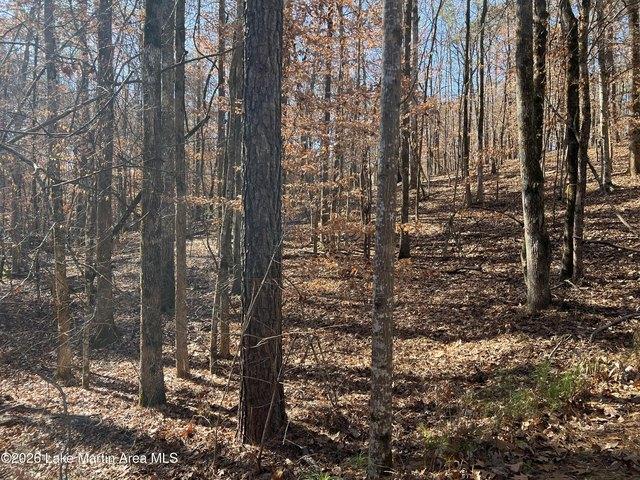 Fern Brook Dr Lot 16, Dadeville, AL 36853