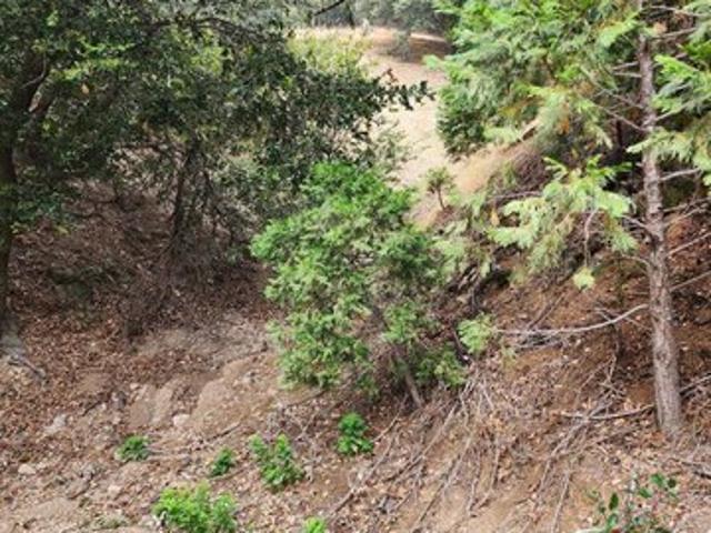 Fern Canyon Rd, Crestline, CA 92325
