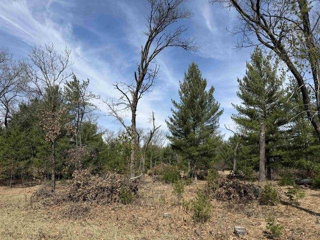 Fern Dr Lot 30, Wisconsin Dells, WI 53965