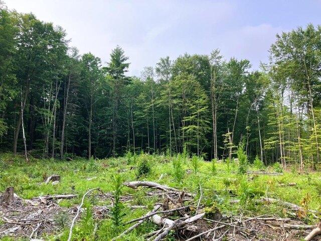 Fern Lake Rd Lot,leicester, Plot For Sale