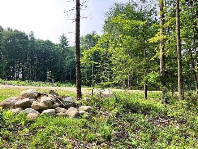 Fern Lake Rd Lot,leicester, Plot For Sale