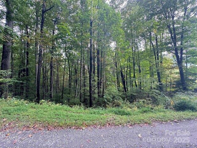 Fern Trl, Waynesville, Plot For Sale