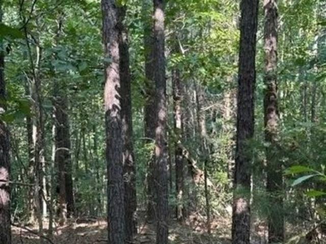 Fernkbank Rd, Millport, AL 35576