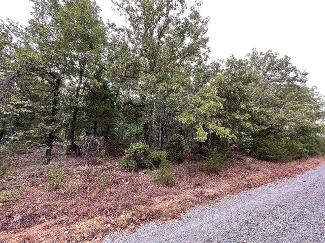 Fernwood Dr, Theodosia, MO 65761