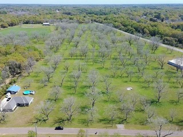 Festival Park Rd, Grand Bay, AL 36541