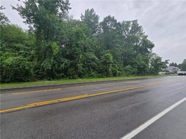 Fetzner Road
