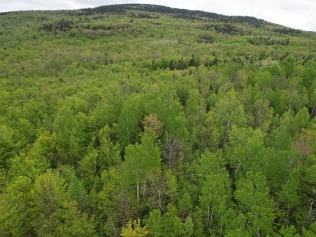 Final Dr, Kingfield, Plot For Sale