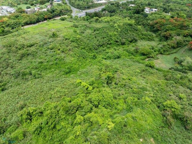 Finca Con Gran Potencial En Camuy Carr #,camuy, Plot For Sale