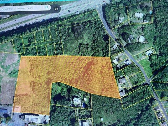 Finca Con Gran Potencial En Camuy Carr #,camuy, Plot For Sale