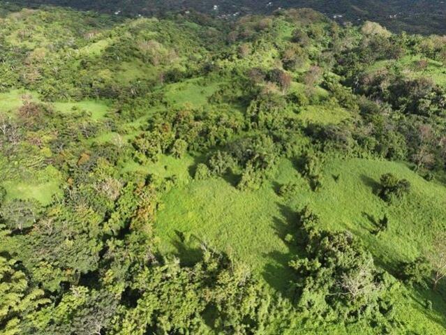 Finca Pr, San Lorenzo, Plot For Sale