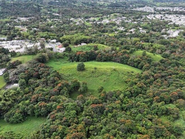 Finca Pr, San Lorenzo, Plot For Sale