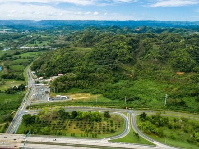 Finca Santa Rosa Parcel A, Dorado, Plot For Sale