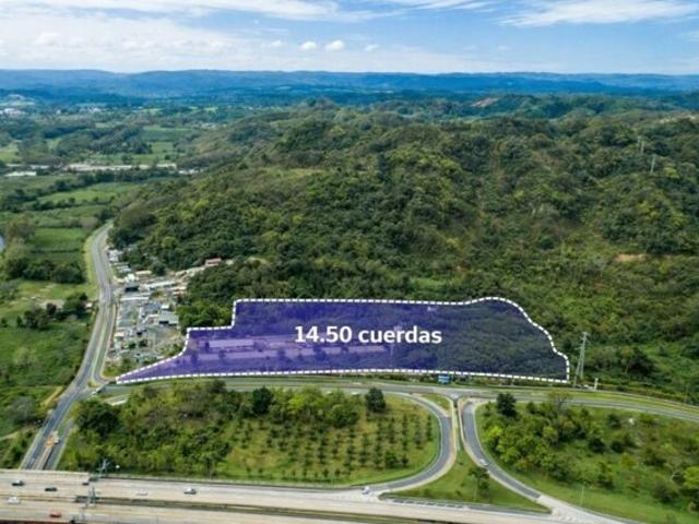 Finca Santa Rosa Parcela Parcel A, Dorado, Plot For Sale